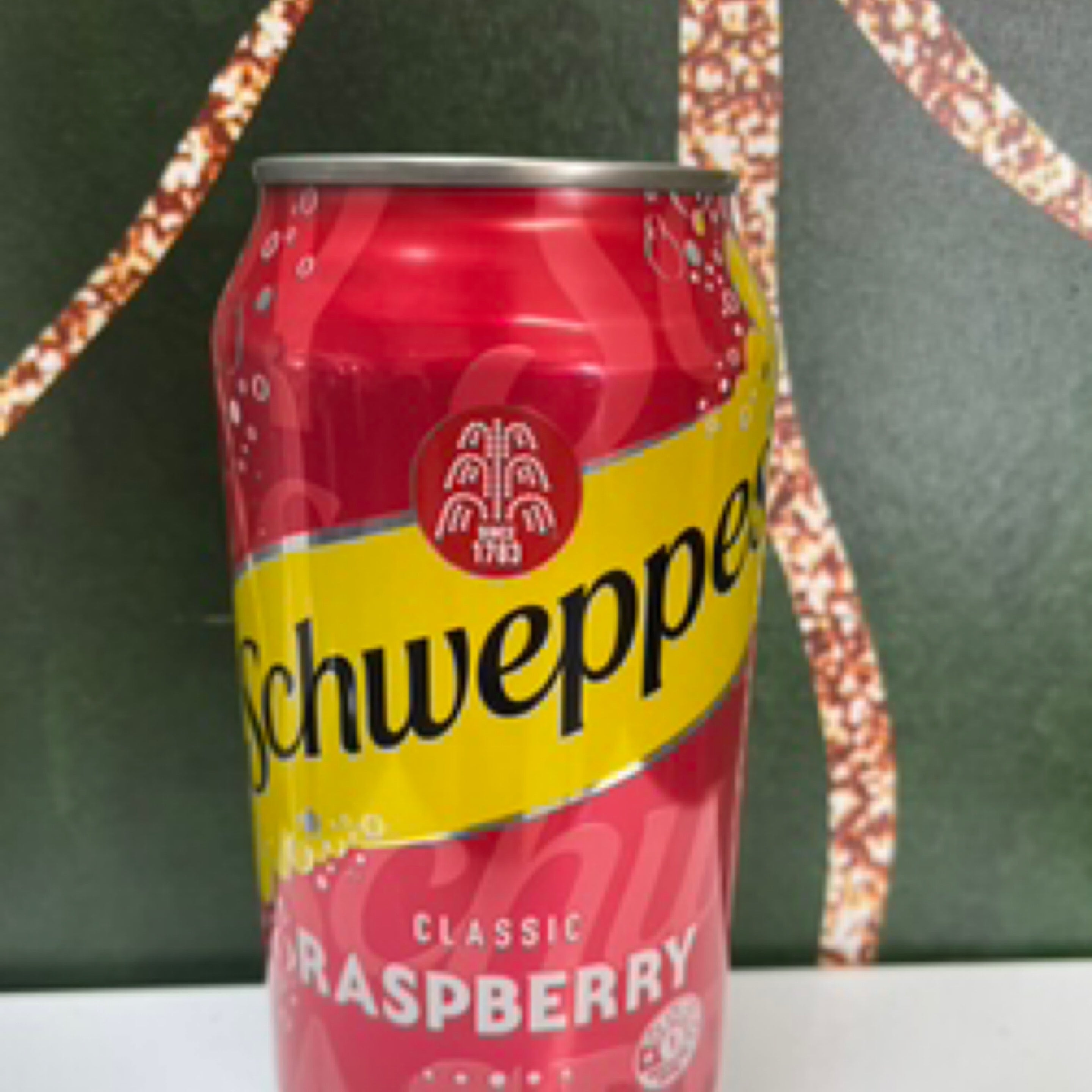 Schweppes Raspberry 375ml Can | Tossed in